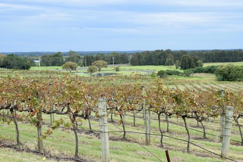 Discover Shoalhaven on the stunning New South Wales south coast — Wine ...