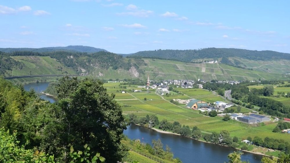 The Mittelmosel from Traben-Trarbach to Reil an der Mosel — Winekeller ...