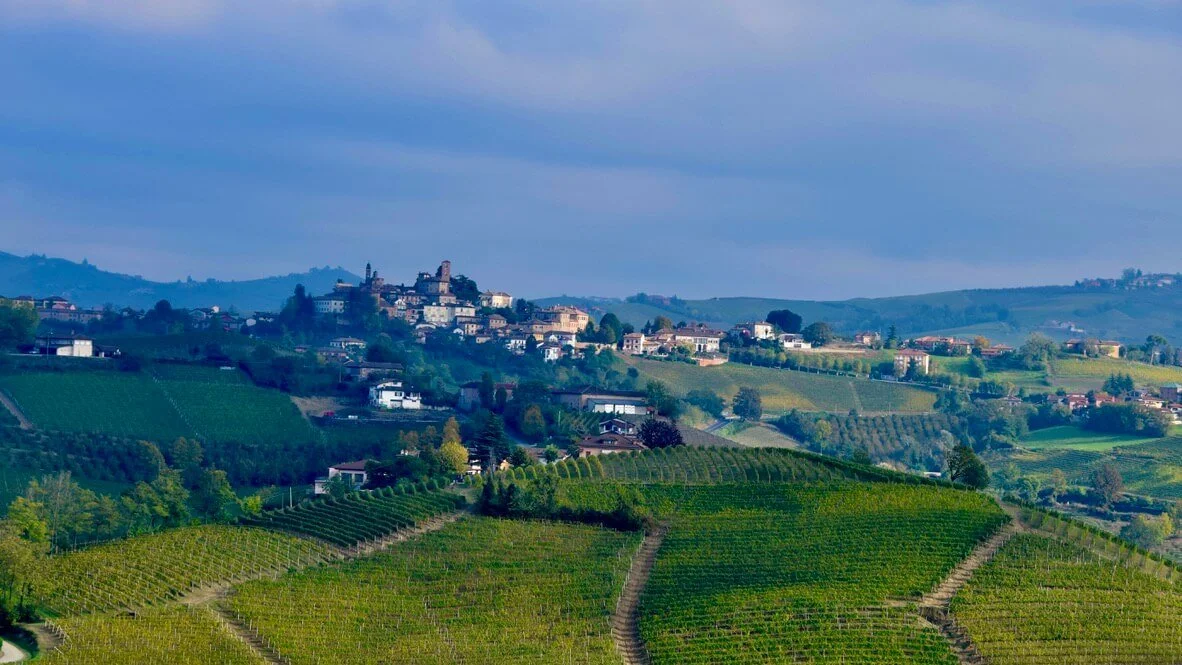 Discover Barbaresco Piedmont and the best of Piemonte wines — Wine Keller