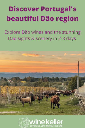 2-3 days discovering Portugal’s Dao wine region — Wine Keller