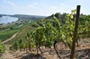 Our e-bike wine tour in north-east Rheinhessen Germany — Winekeller ...