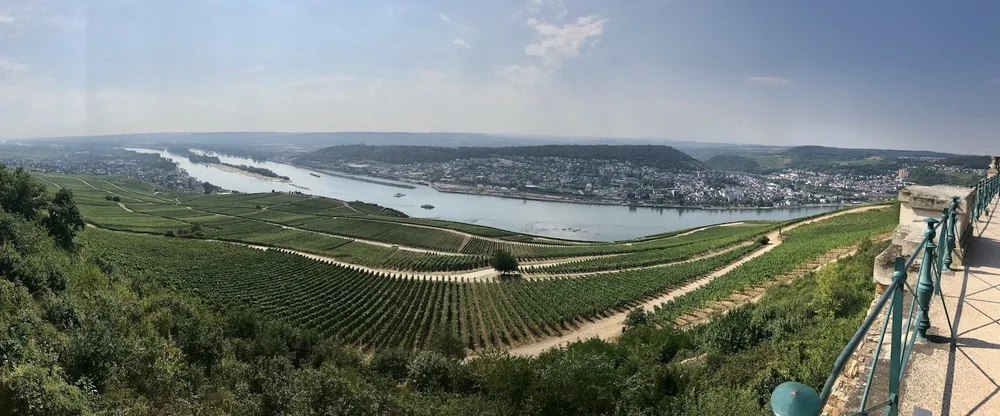 Rheingau wine region Germany | Rheingau wines | Rheingau Riesling ...