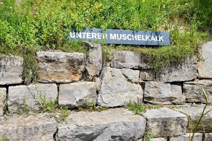 Franken wine region | Franken wine | Franken Silvaner — Winekeller ...