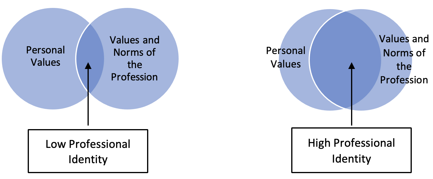 Accounting Ethics, Professional Identity, and the Public Interest ...