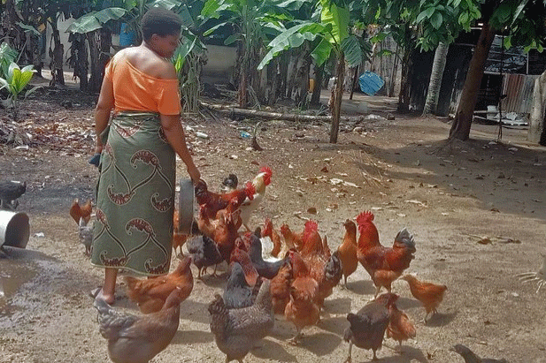 Confronting Poverty and Child Malnutrition in Sub-Saharan Africa with ...