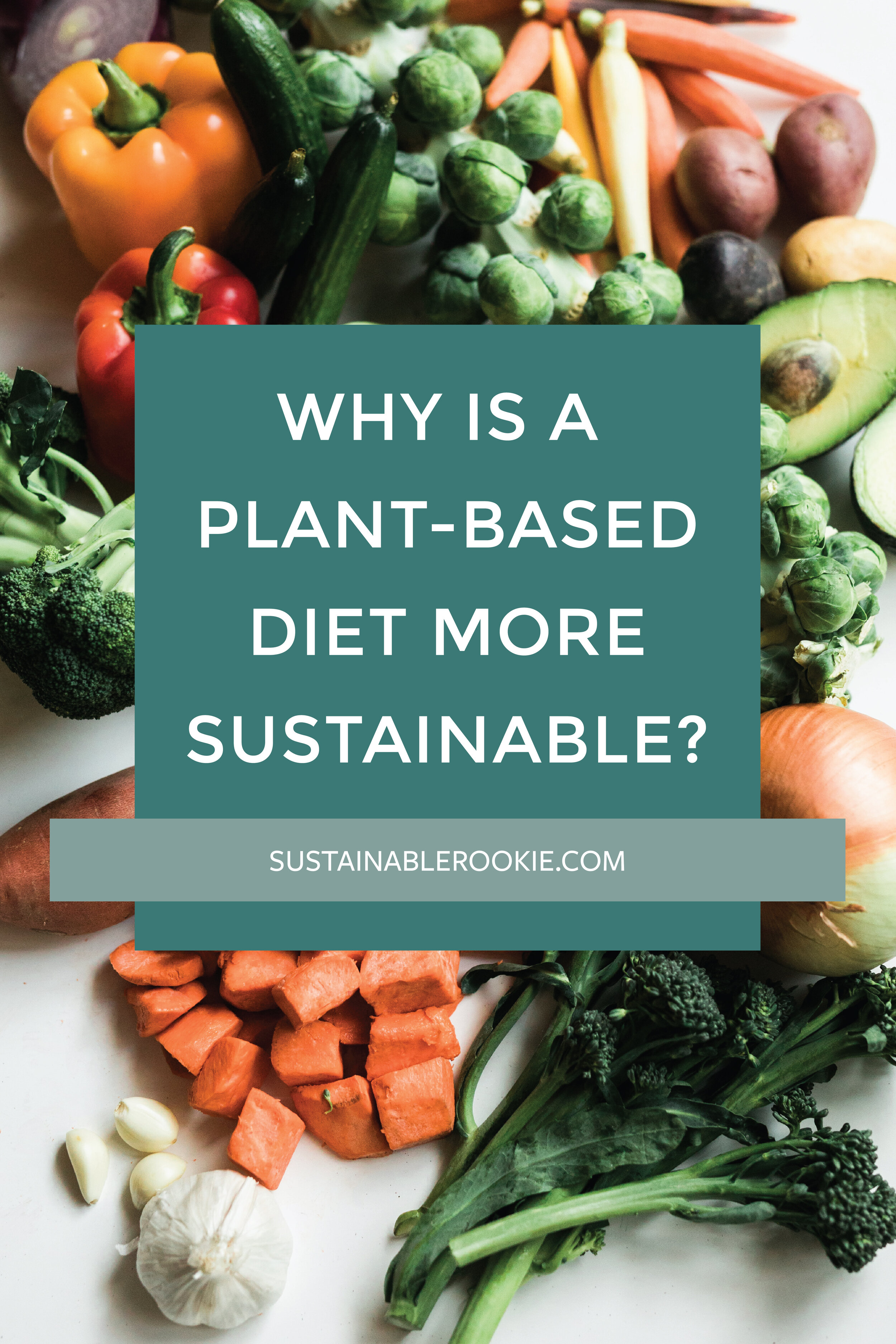Why Is A Plant Based Or Vegan Diet More Sustainable — Sustainable Rookie