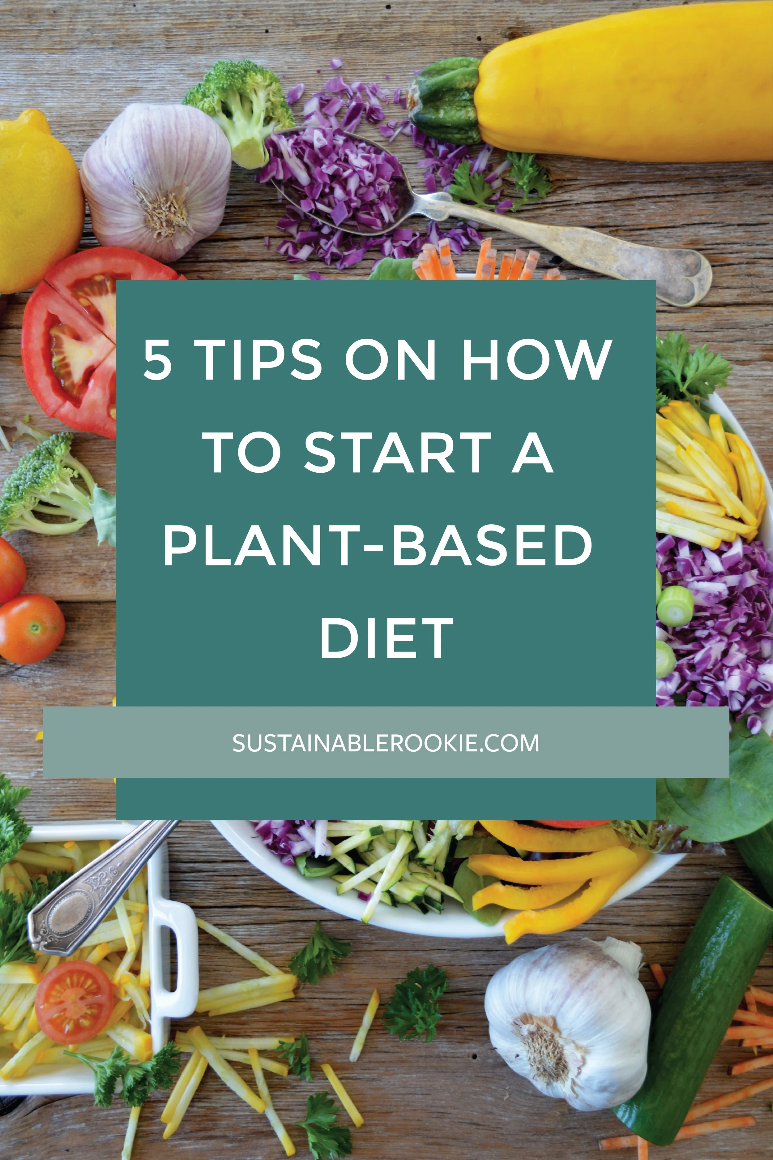 5 Tips on How to Start a Plant-Based Diet — Sustainable Rookie