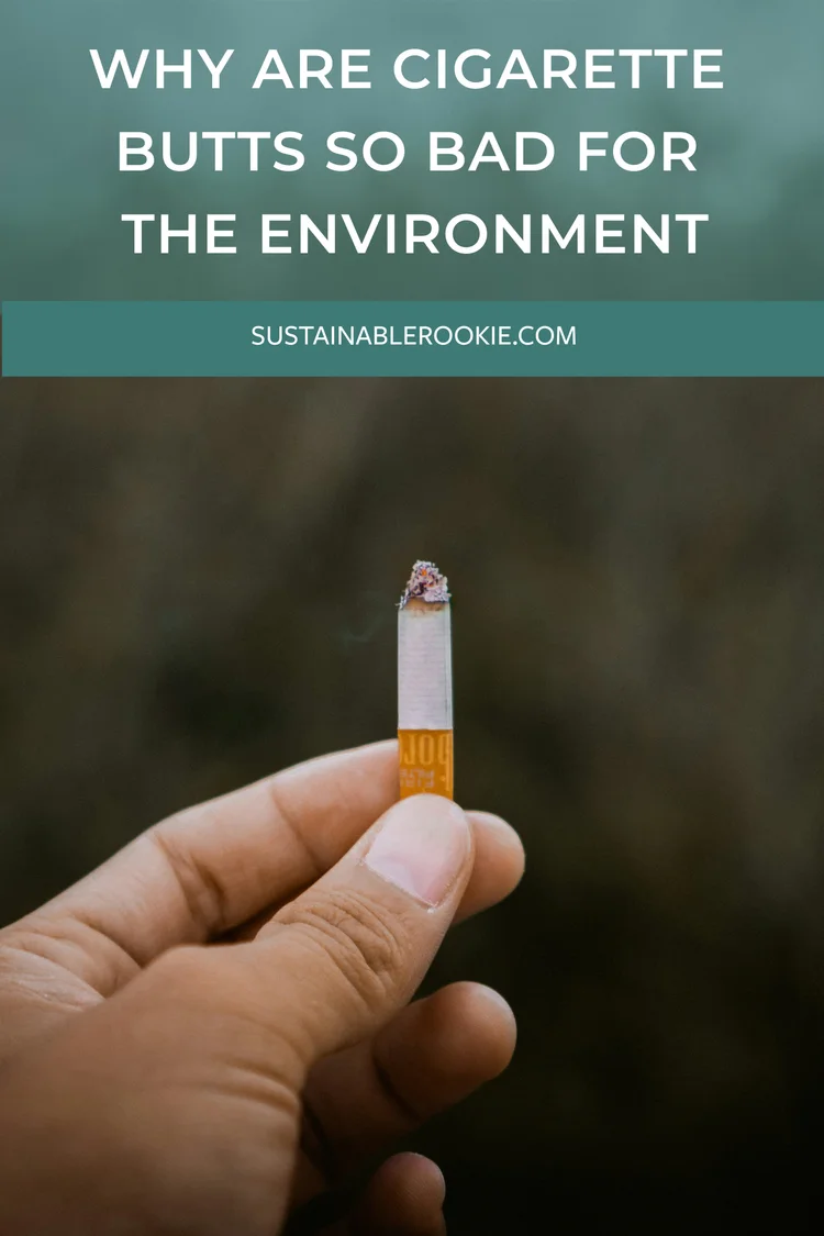 Why Are Cigarette Butts Bad for the Environment — Sustainable Rookie