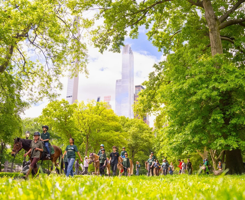 Events | Join Our Community Events — GallopNYC