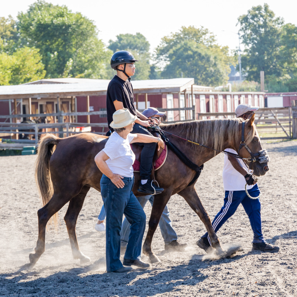 Locations — GallopNYC