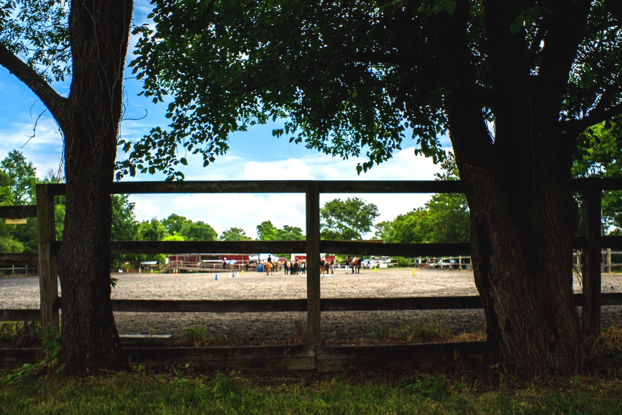 Locations | Explore Our Locations Today — GallopNYC