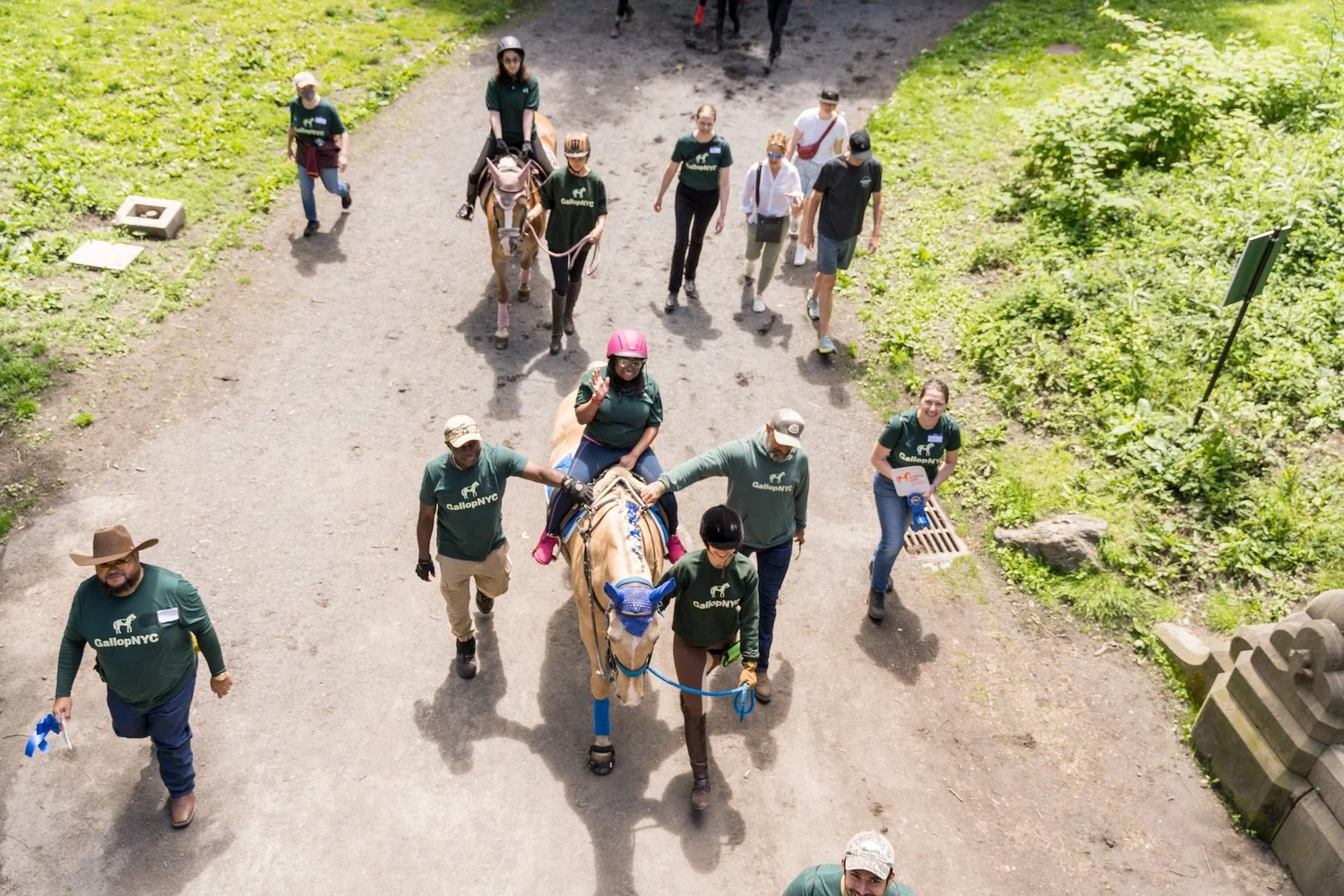 GallopNYC