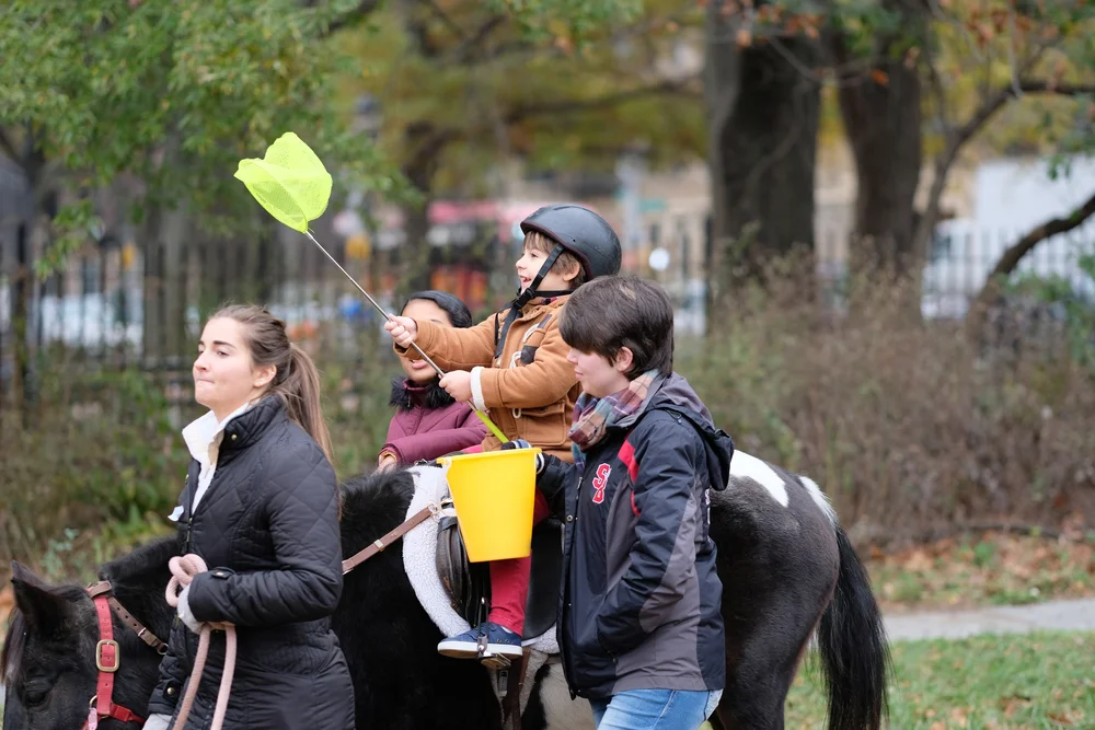 Therapeutic Riding | Discover Therapeutic Riding Today — GallopNYC