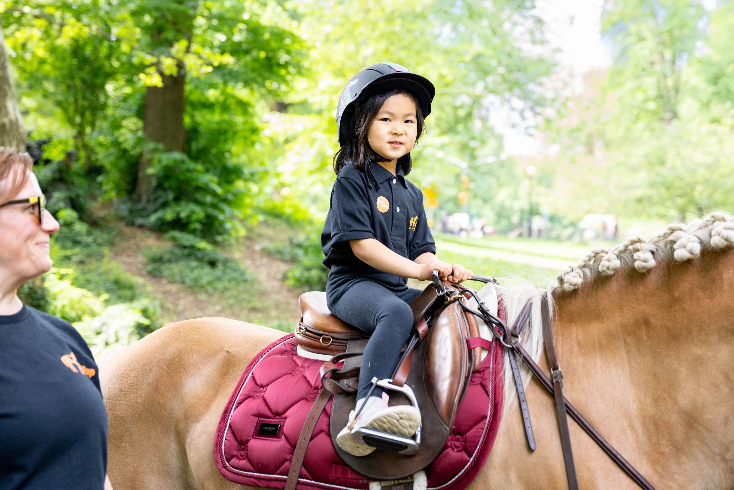 About GallopNYC | Empower Lives Today — GallopNYC