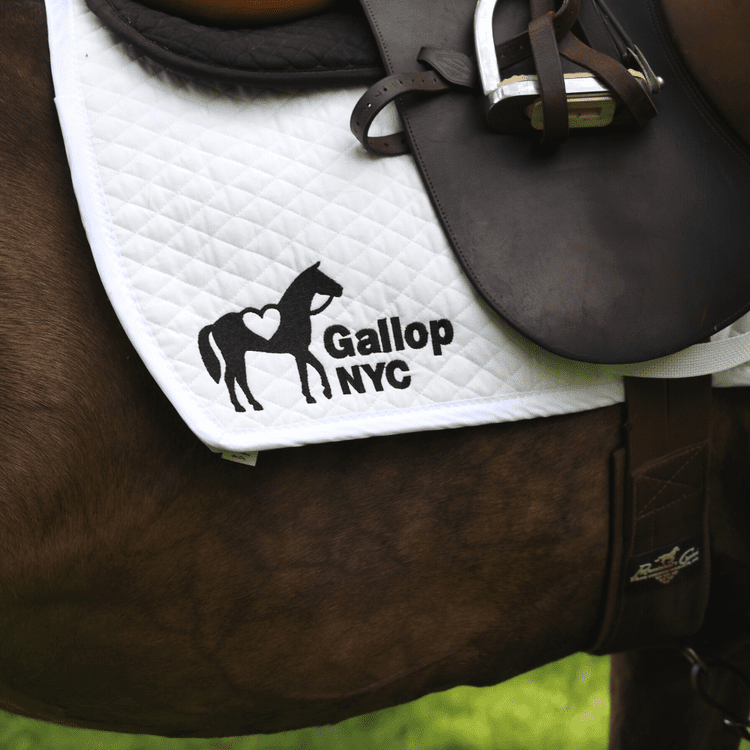 GallopNYC | Empower Through Equine Therapy