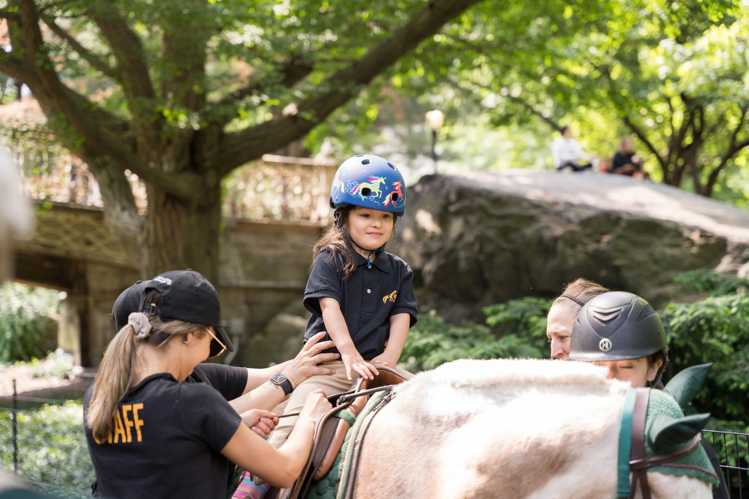 programs — GallopNYC