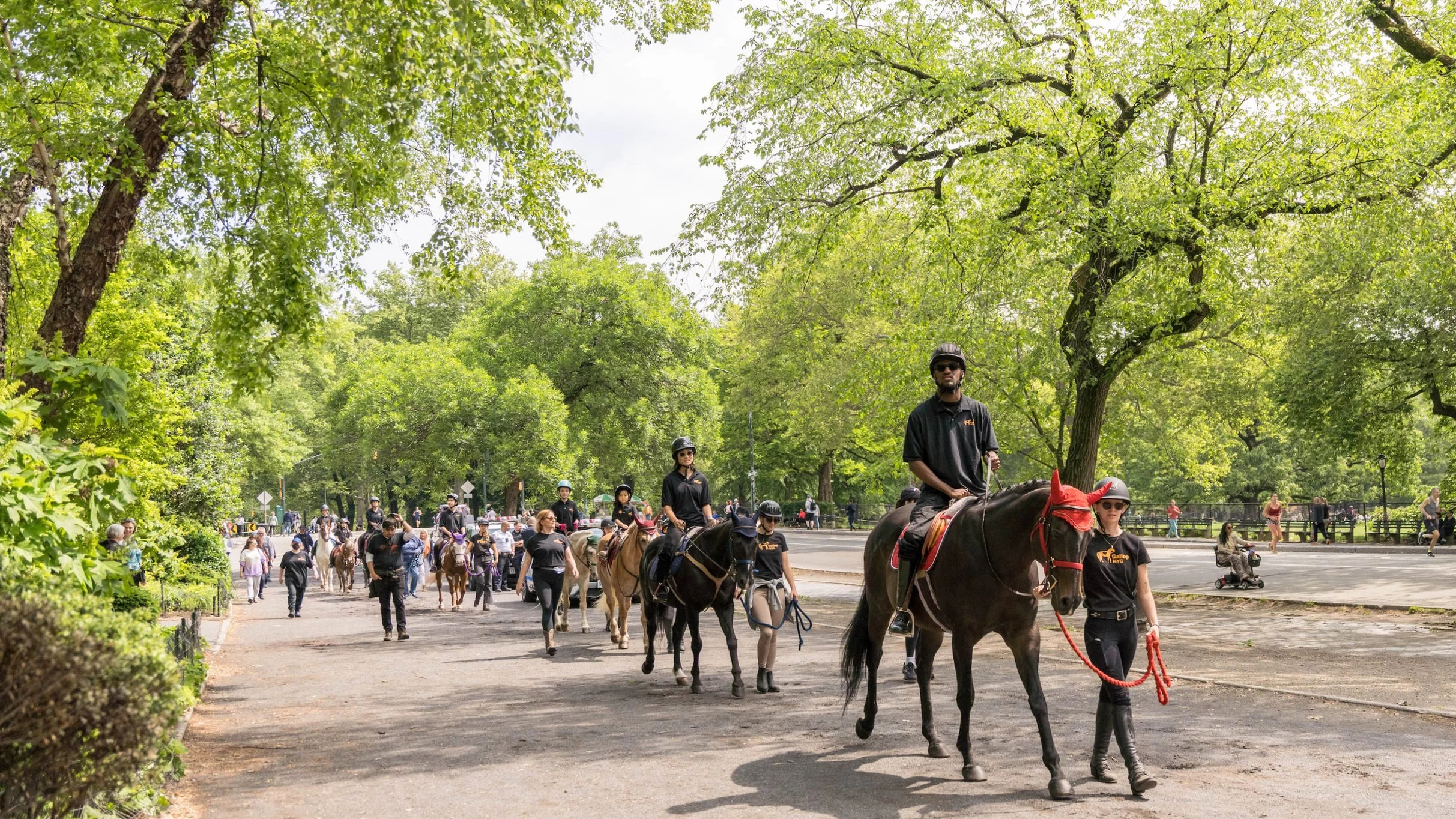 About GallopNYC | Empower Lives Today — GallopNYC