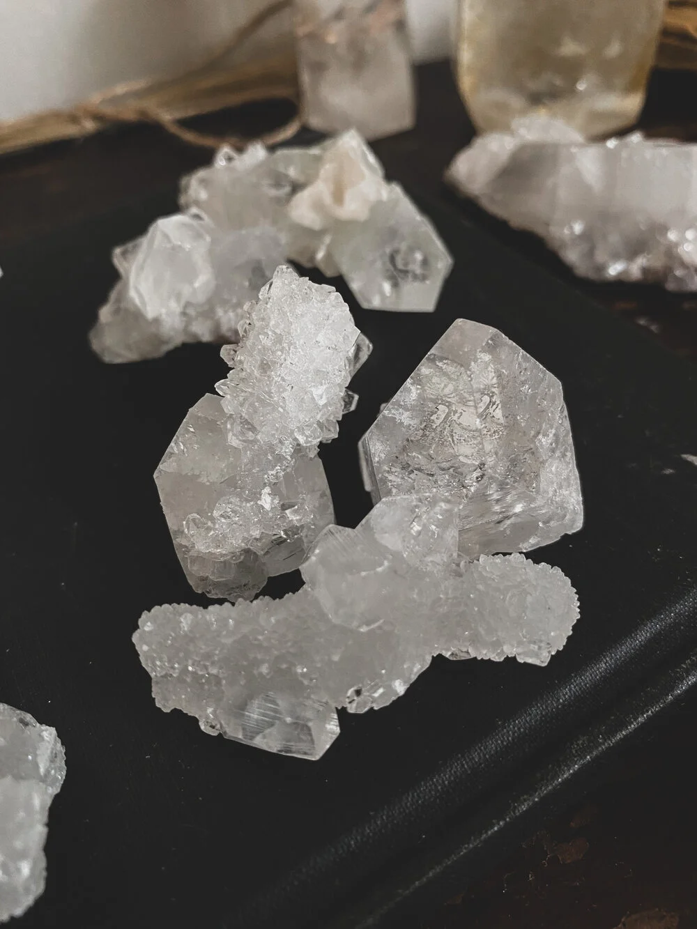 Shop — ASTATULA CANDLE CO.