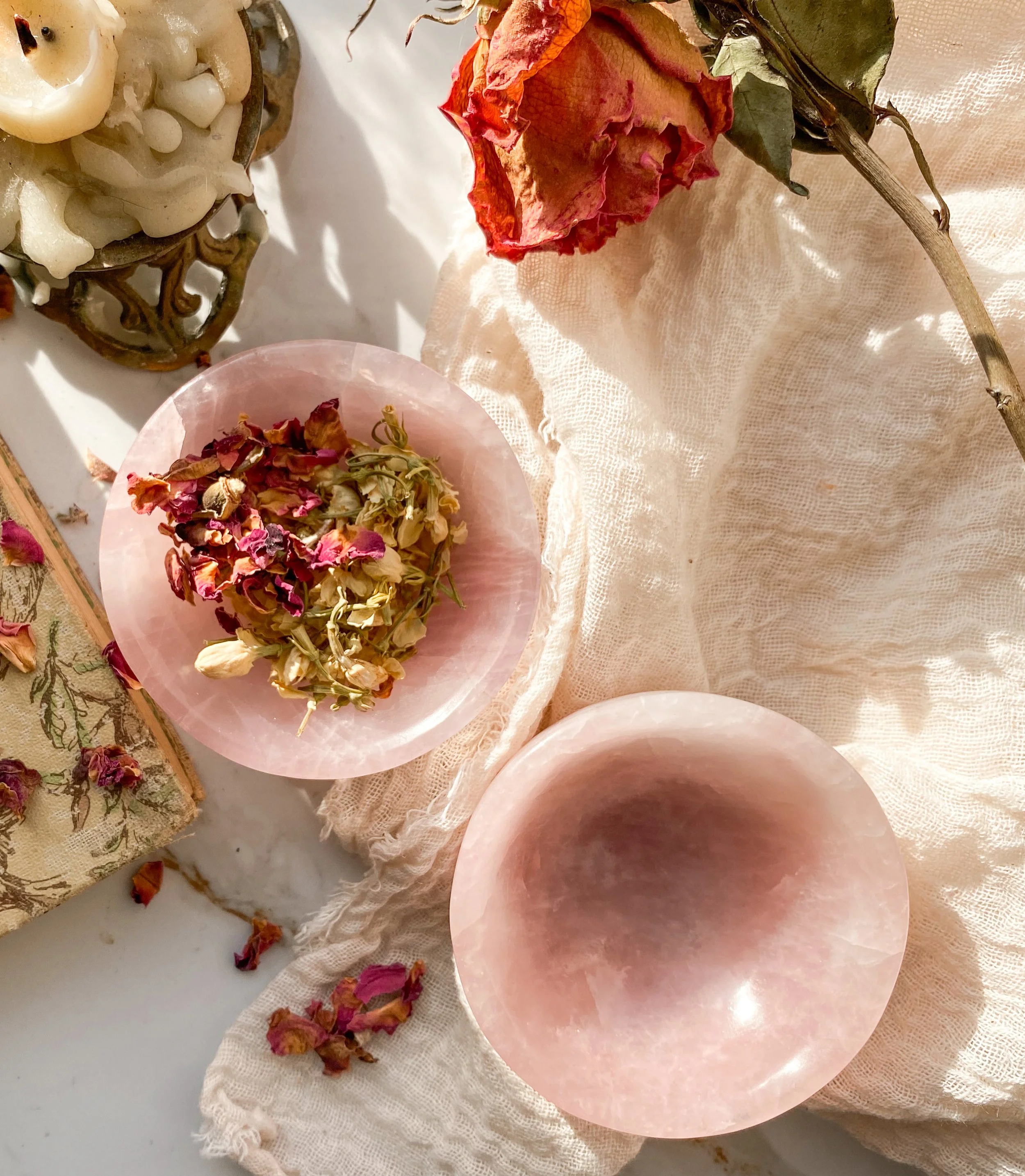 Shop — ASTATULA CANDLE CO.