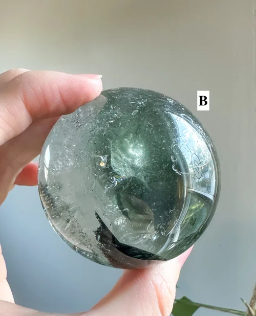 Shop — ASTATULA CANDLE CO.