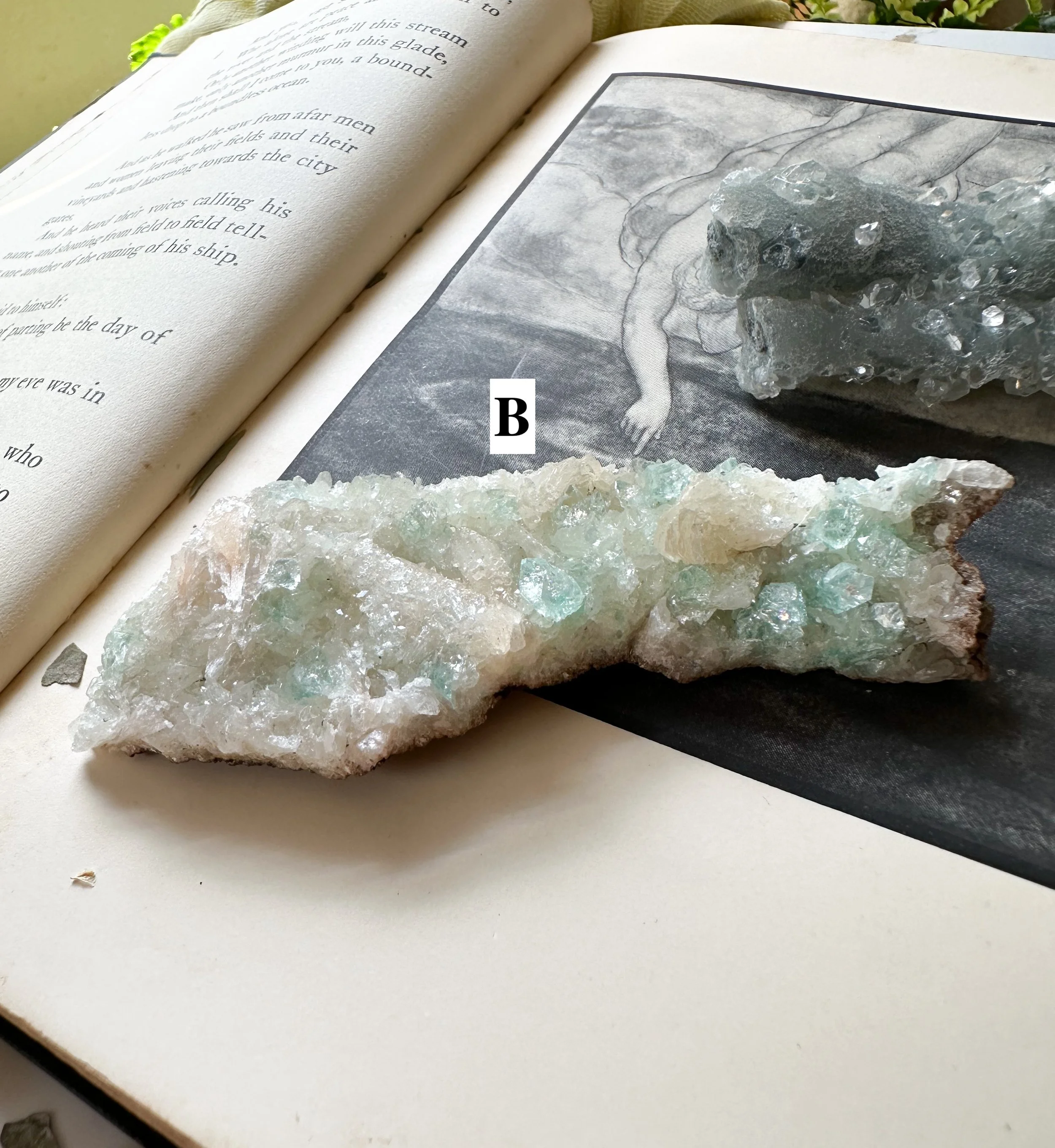 Shop — ASTATULA CANDLE CO.