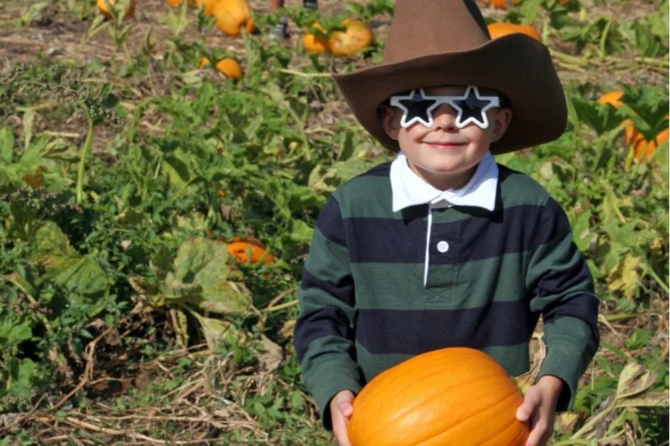 5 Fun Family Activities to Enjoy the Fall Season — Lou Adventures