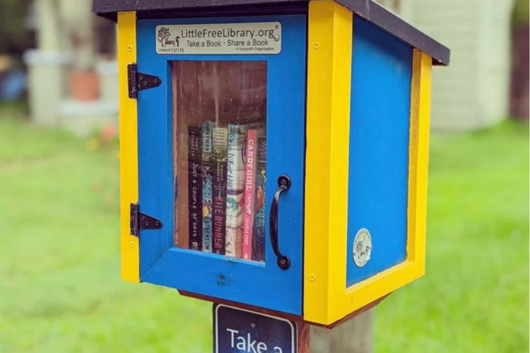 8 Ways to Celebrate National Library Lovers Month! — Lou Adventures