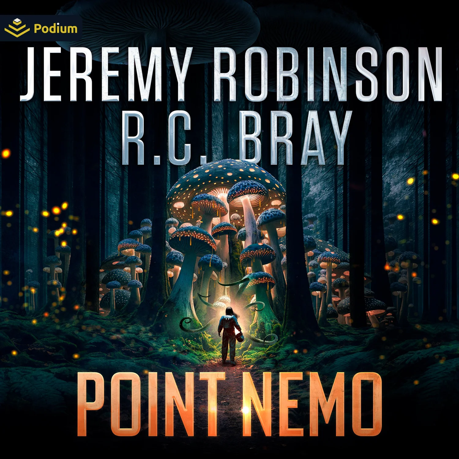 Audiobooks — R.C. Bray