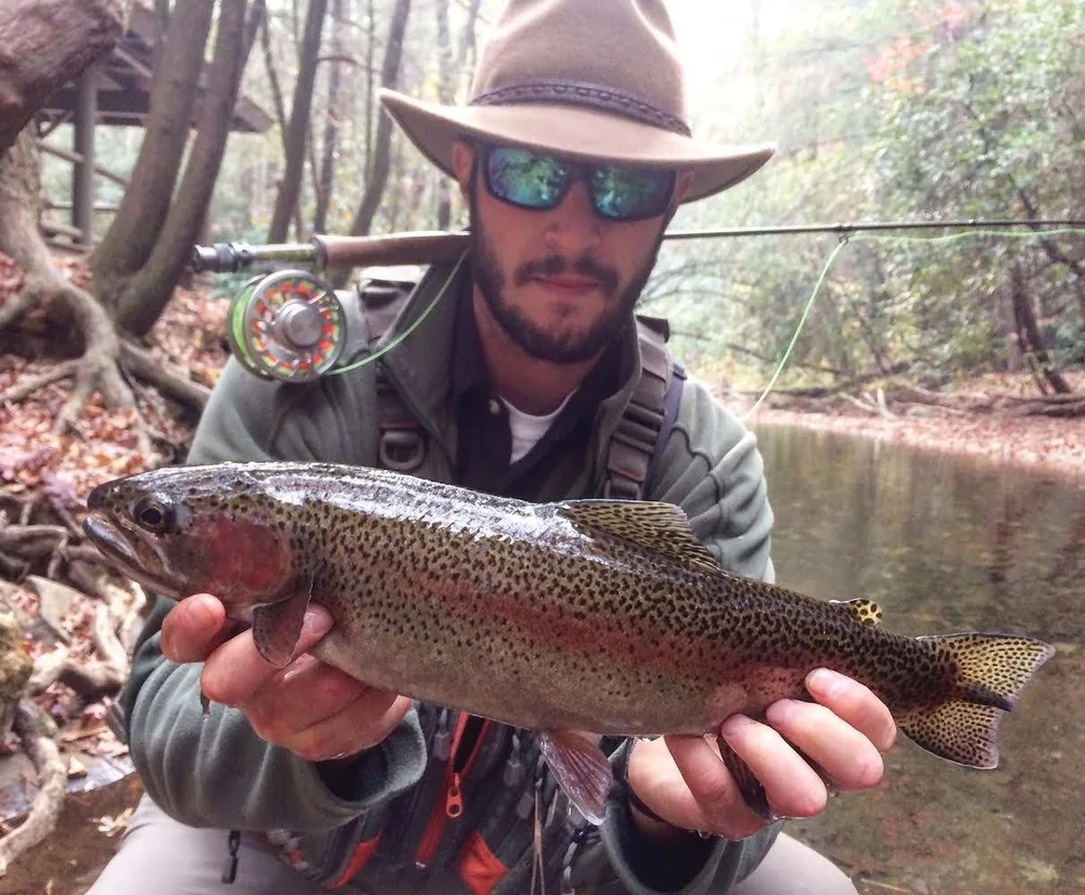 Board of Directors — Reeling in Serenity