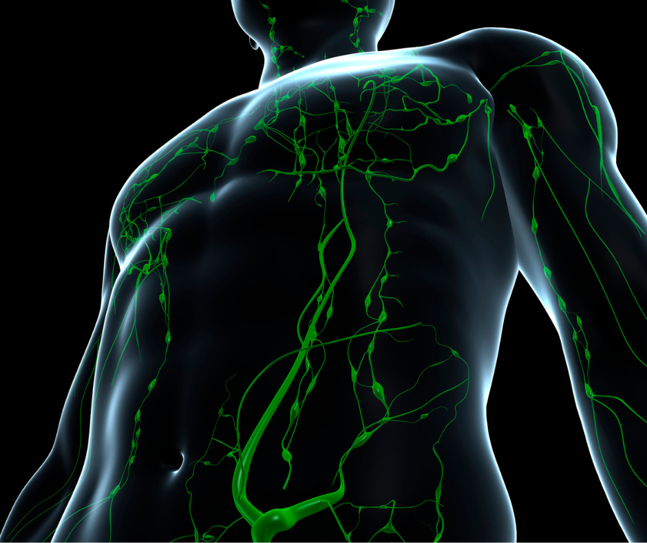 Lymphatic Drain — Essential Elements Wellness