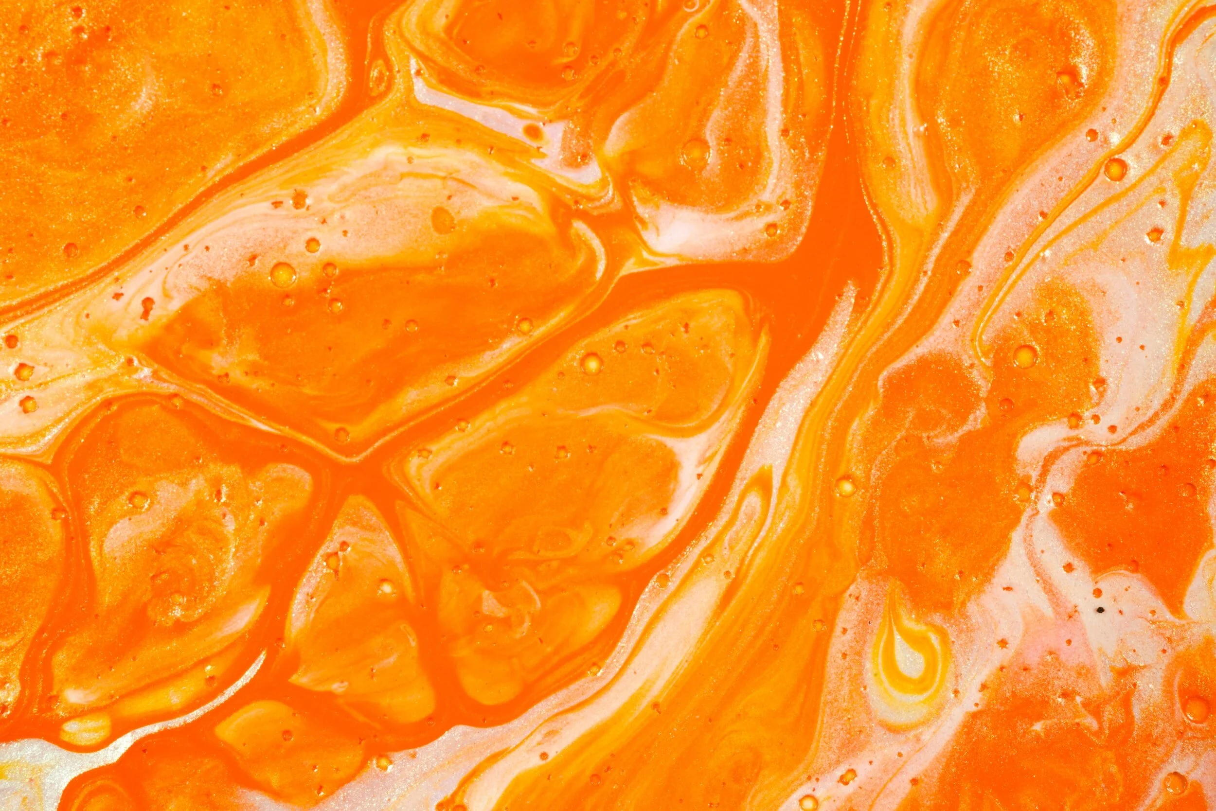 Voices of Influence Australia