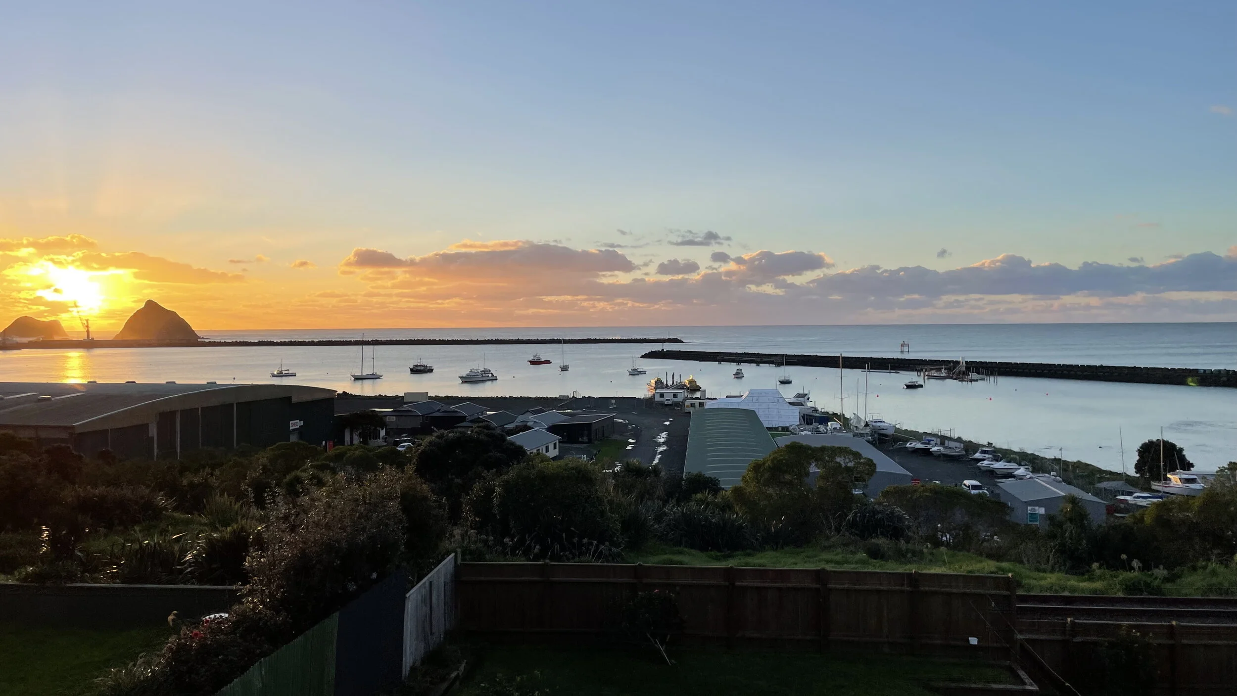 Residential and Homes — Hive Developments, Building Taranaki.