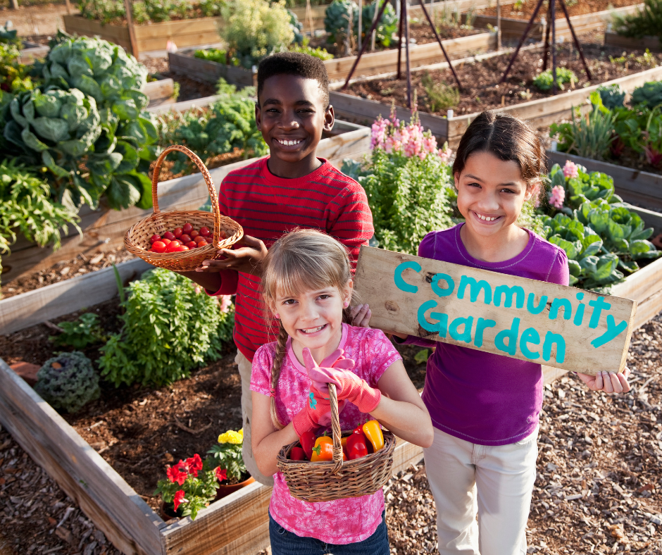 Community garden — Bells Corners Community Garden