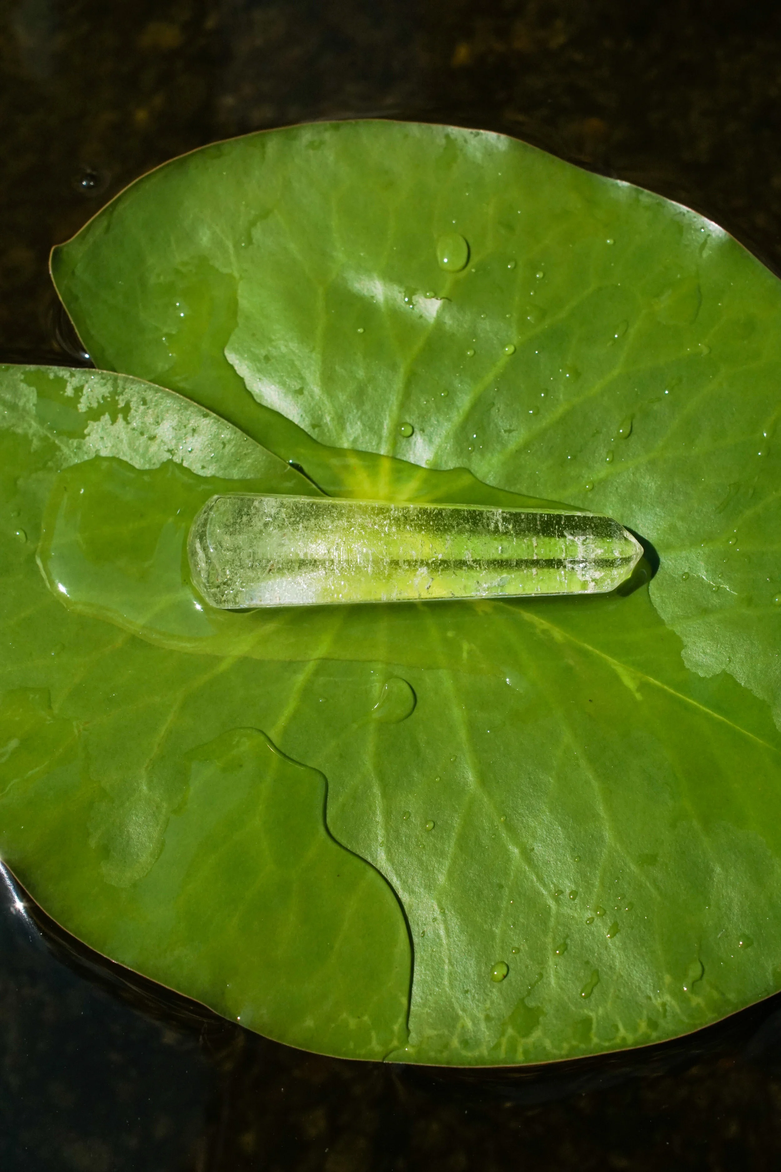 Kivet — Seraphiné