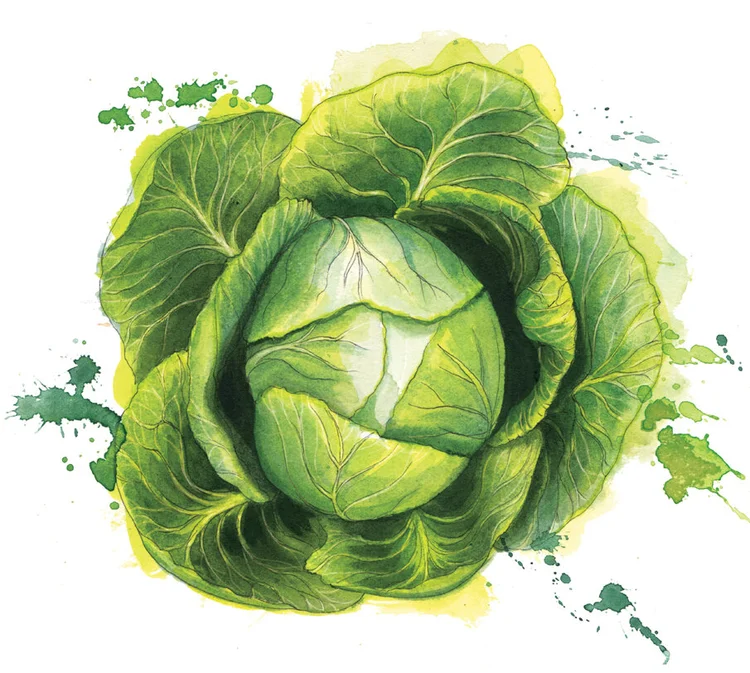 Food & Drink — Georgina Luck