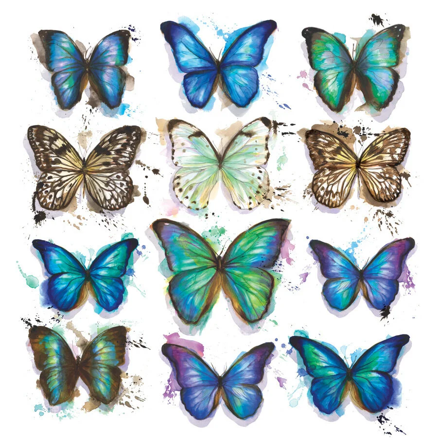 Floral & Wildlife — Georgina Luck