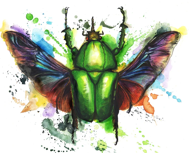 Floral & Wildlife — Georgina Luck