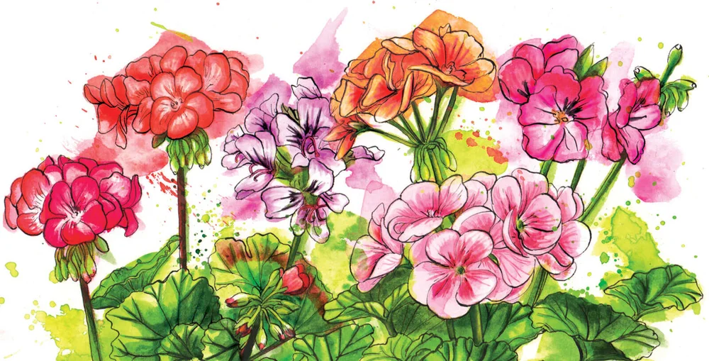 Floral & Wildlife — Georgina Luck
