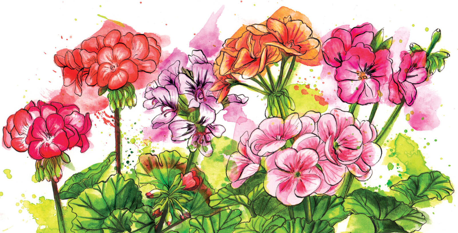 Floral & Wildlife — Georgina Luck