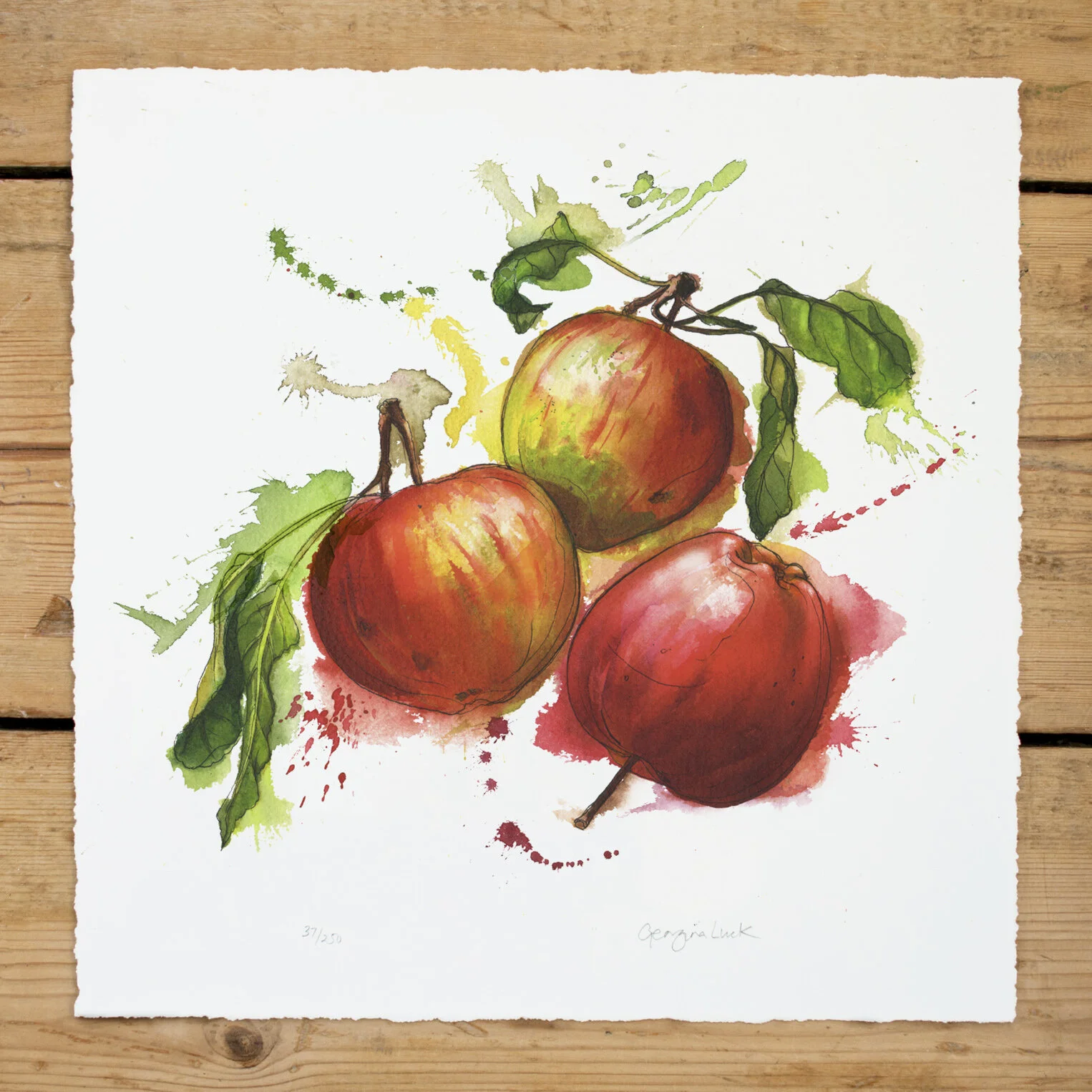 Shop — Georgina Luck