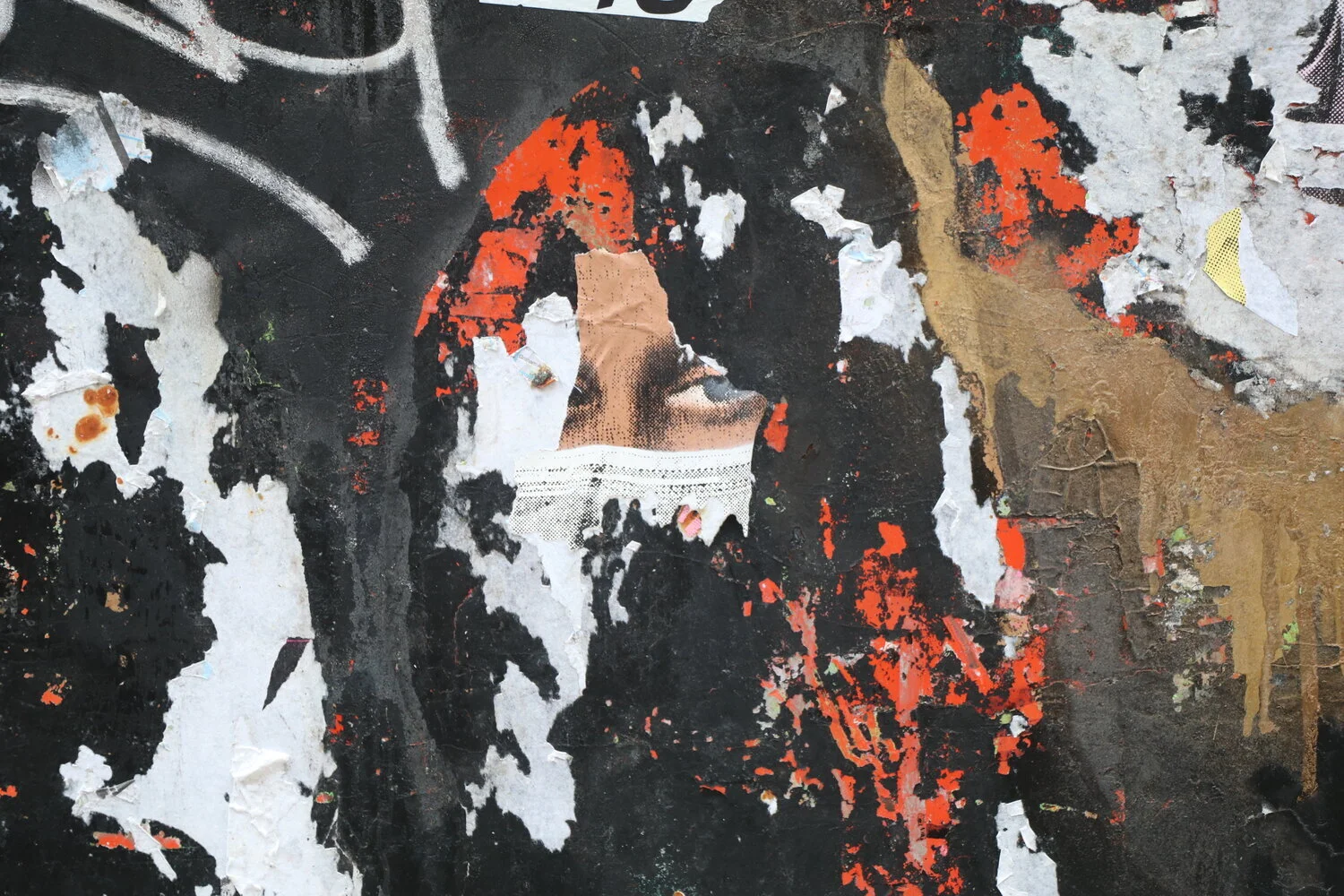 Bio — Kathleen Sweeney EcoArtivist