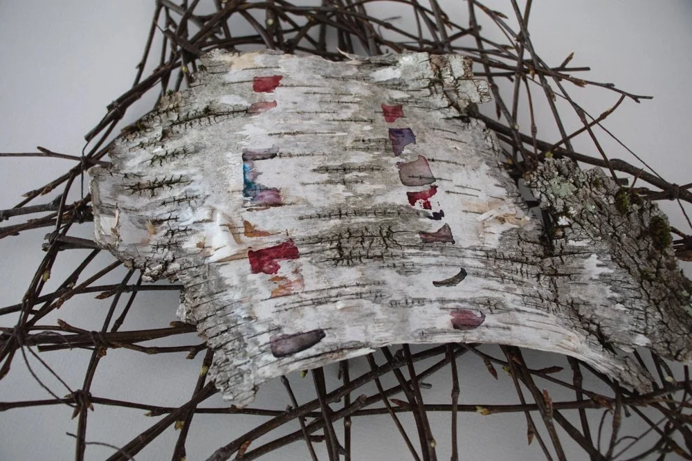 Bio — Kathleen Sweeney EcoArtivist