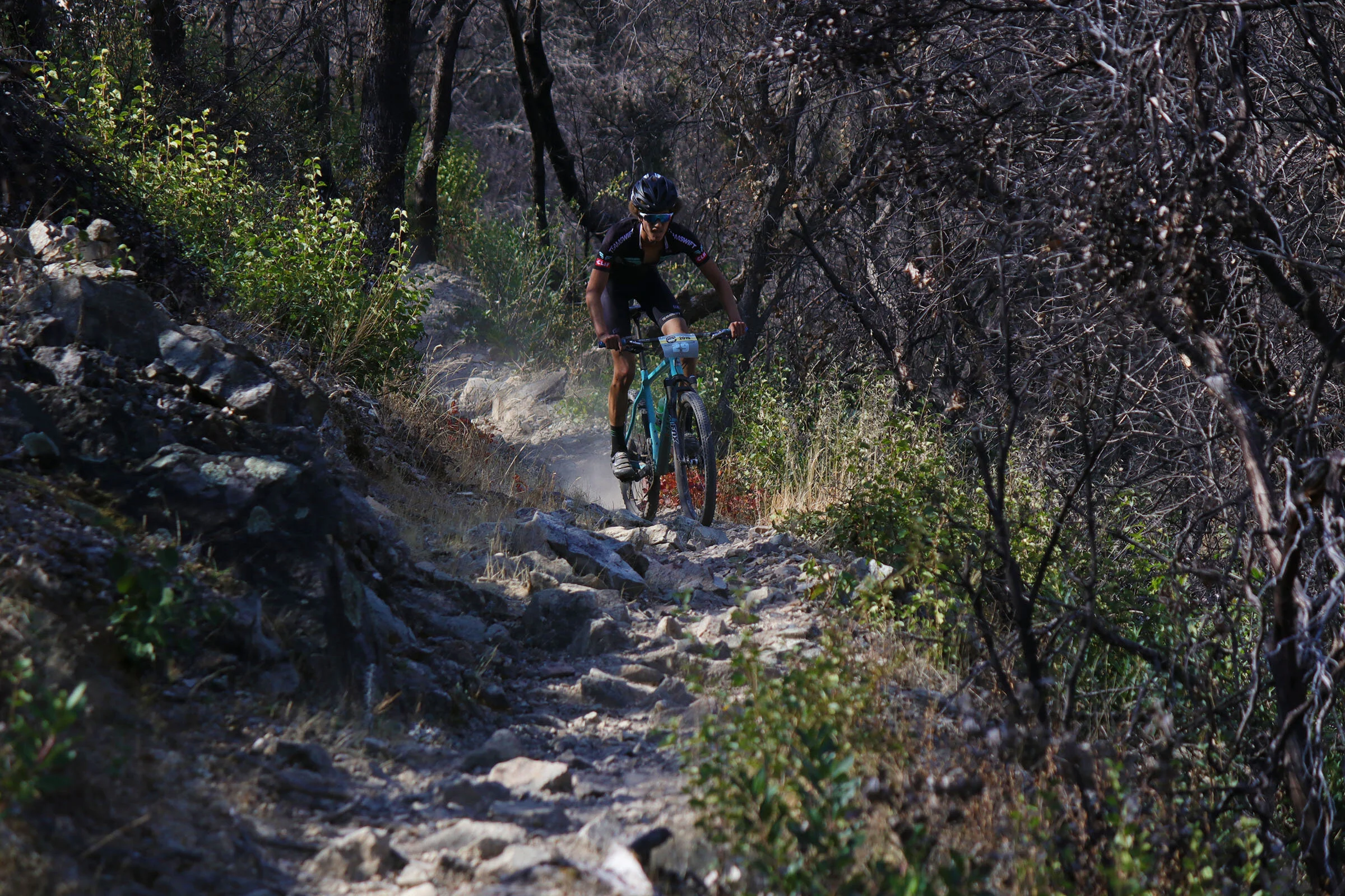 Cross Country — Lemurian Classic