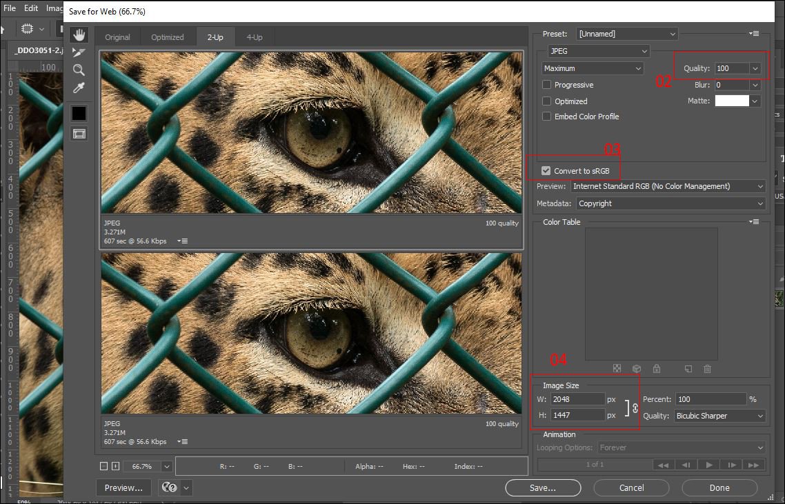Maximize Your Photo Quality on Facebook: A Comprehensive Guide for ...