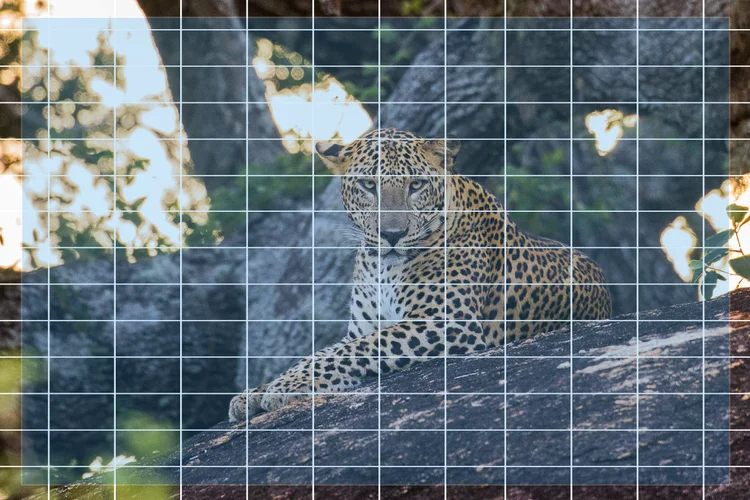 Camera Metering Modes: How to Use Metering Modes — Damith Danthanarayana