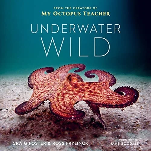 Underwater Wild: My Octopus Teacher's Extraordinary World. By Craig ...