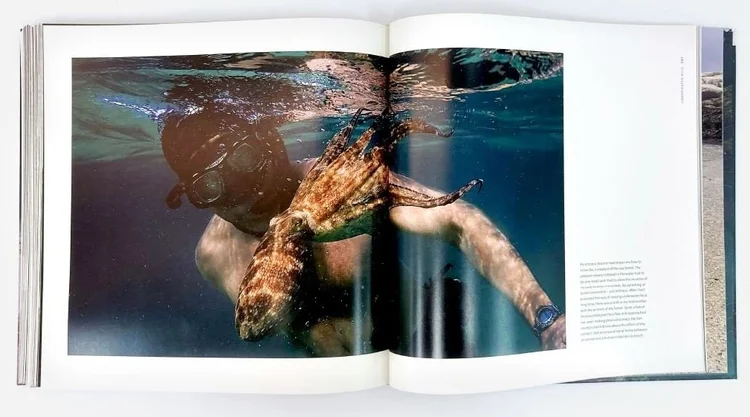 Underwater Wild: My Octopus Teacher's Extraordinary World. By Craig ...