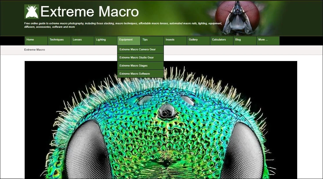 20 Top Nature, Wildlife & Macro Photography Sites for Every Skill Level ...