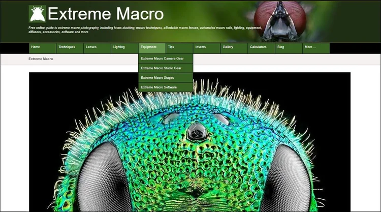 20 Top Nature, Wildlife & Macro Photography Sites for Every Skill Level ...