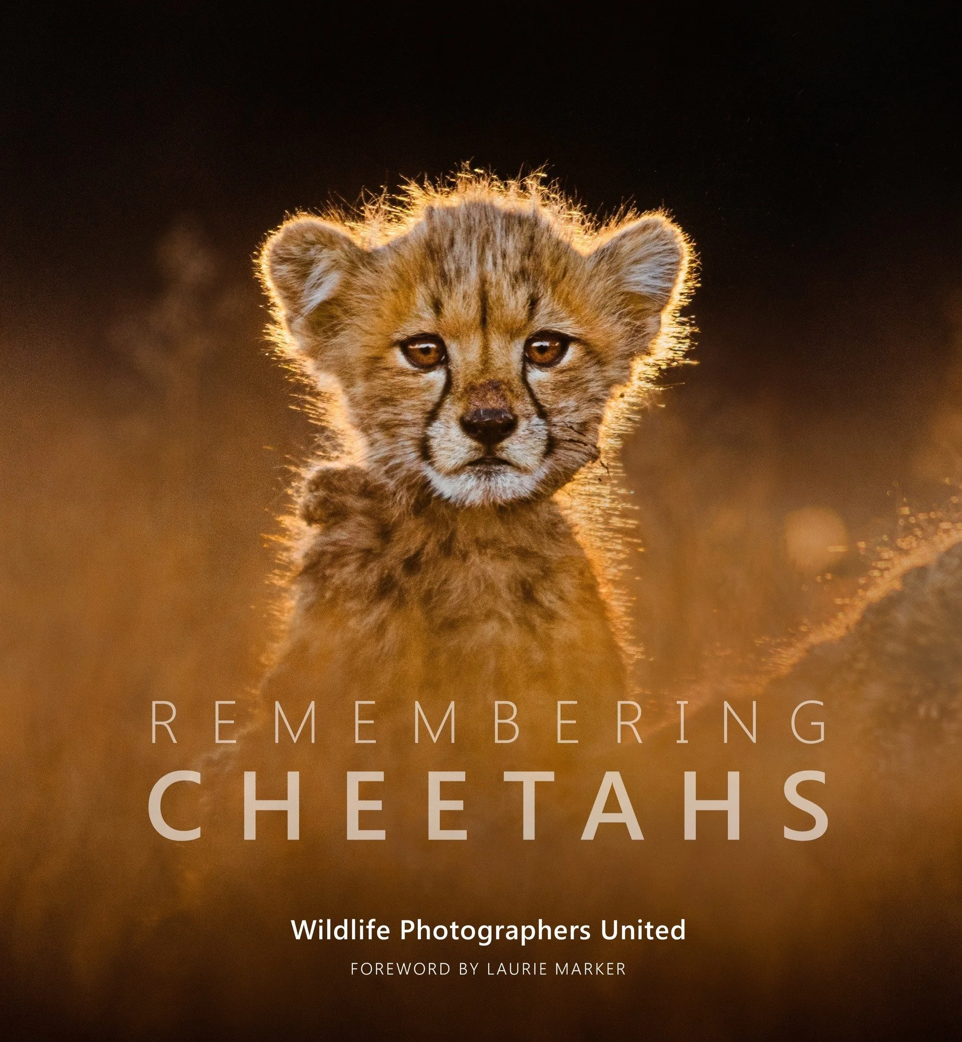 Remembering Cheetahs is the fifth book in the highly acclaimed charity ...